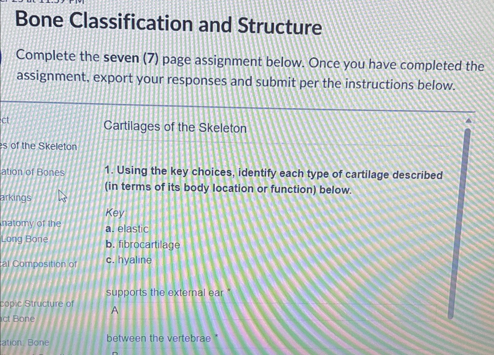 Solved Bone Classification and StructureComplete the seven | Chegg.com