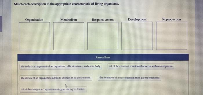 Solved Match each description to the appropriate | Chegg.com