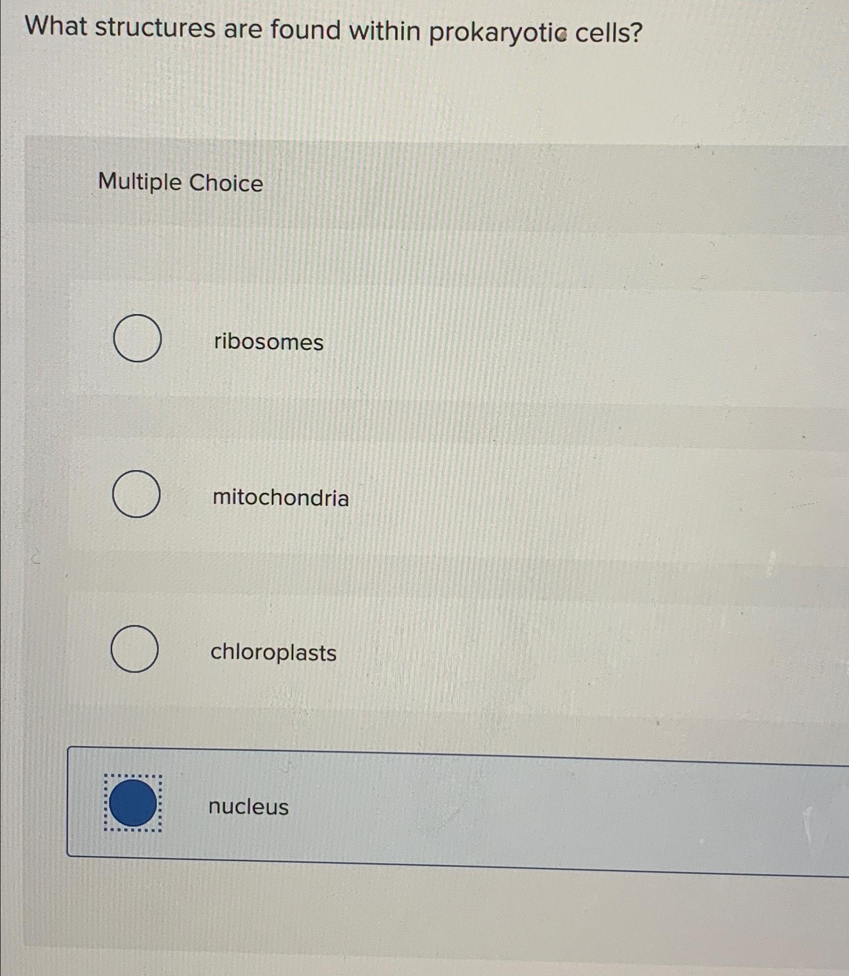 Solved What structures are found within prokaryotic | Chegg.com
