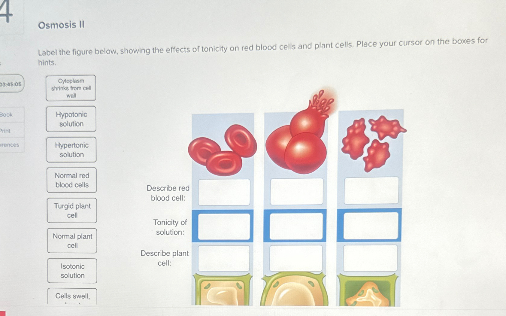 Solved Osmosis IILabel the figure below, showing the effects | Chegg.com
