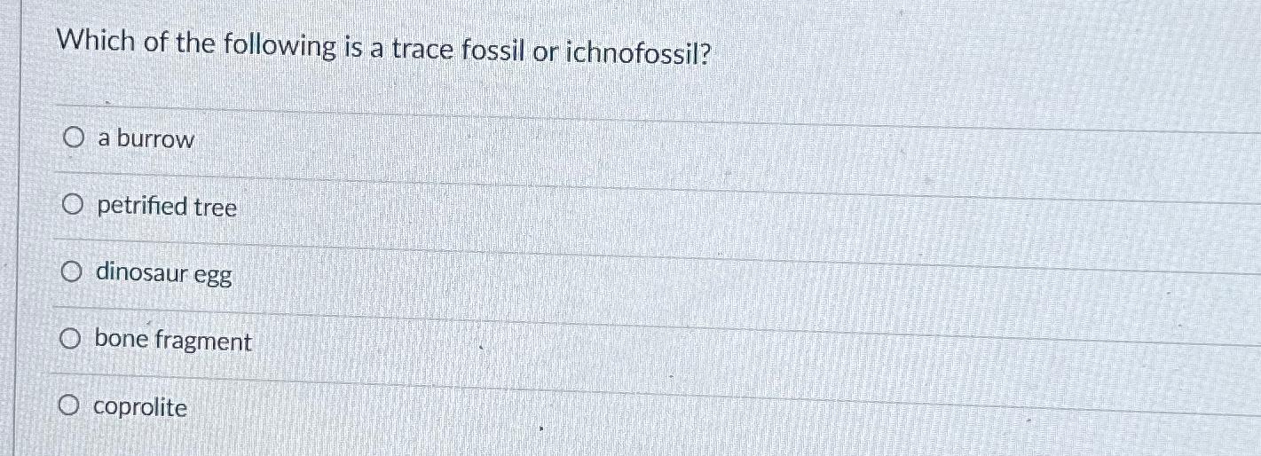Solved Which of the following is a trace fossil or | Chegg.com