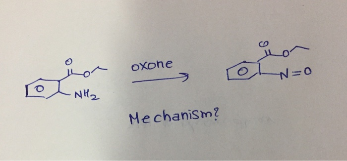 Solved oxone N =0 Mechanism? | Chegg.com