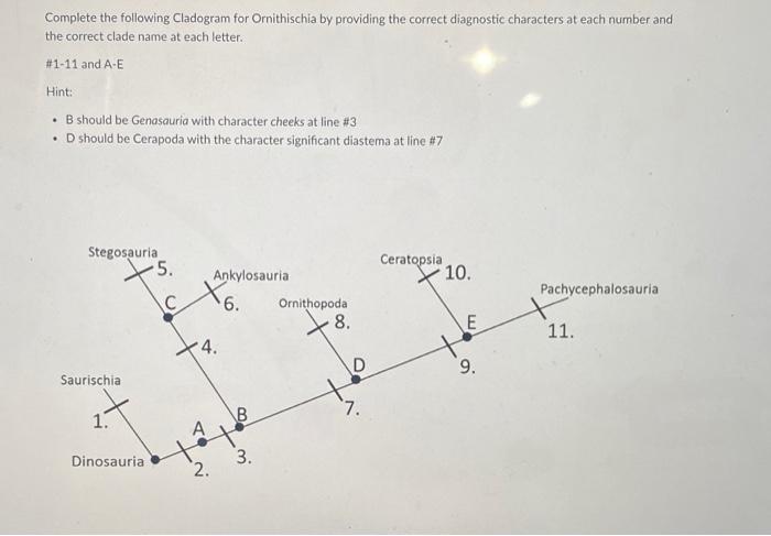 Complete the following Cladogram for Ornithischia by | Chegg.com
