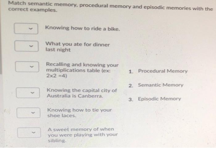 Solved Match semantic memory, procedural memory and episodic | Chegg.com