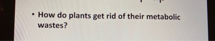 Solved • How do plants get rid of their metabolic wastes? | Chegg.com