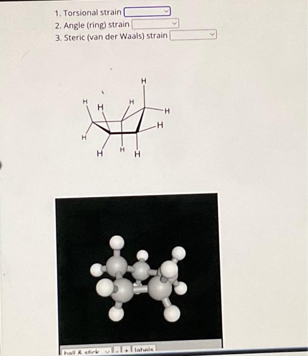 Solved 1. Torsional strain 2. Angle (ring) strain 3. | Chegg.com