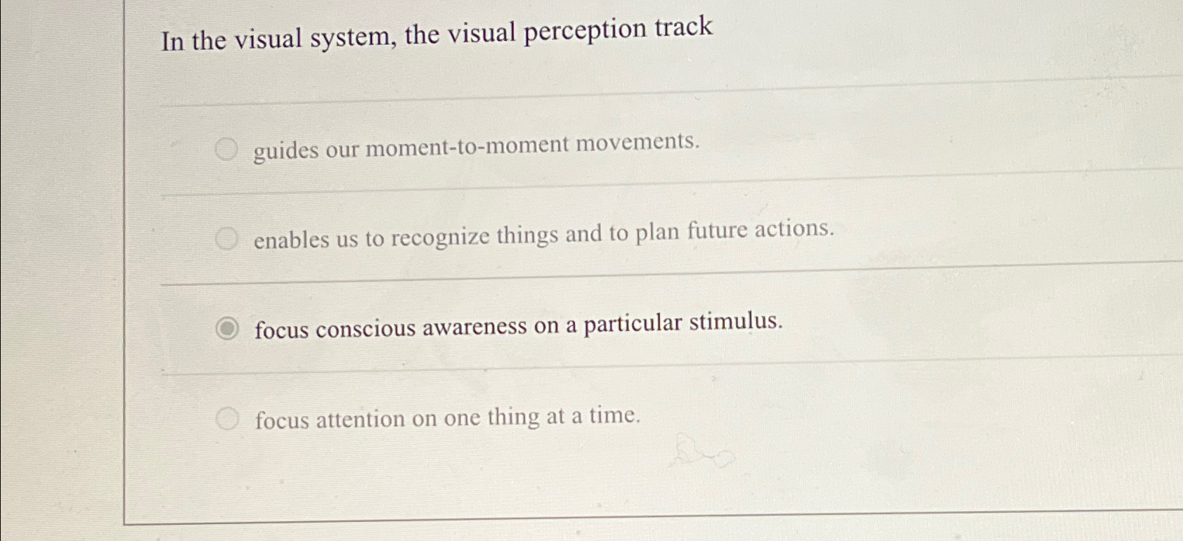 Solved In the visual system, the visual perception | Chegg.com