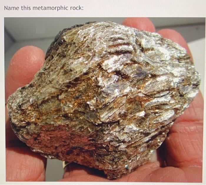 Solved Name this metamorphic rock: Name this metamorphic | Chegg.com