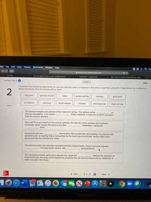 Solved Fari File Edit View History Bookmarks Window Help w u | Chegg.com
