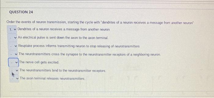 Solved order the events of neuron transmission, starting the | Chegg.com
