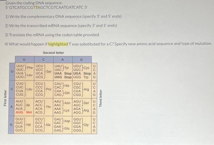 Solved Given the coding DNA sequence: | Chegg.com
