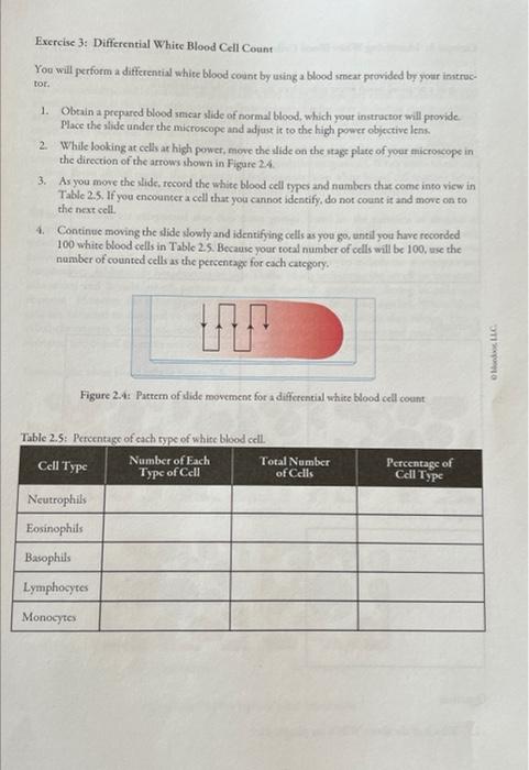 Solved Excrcise 3: Differential White Blood Cell Count You | Chegg.com