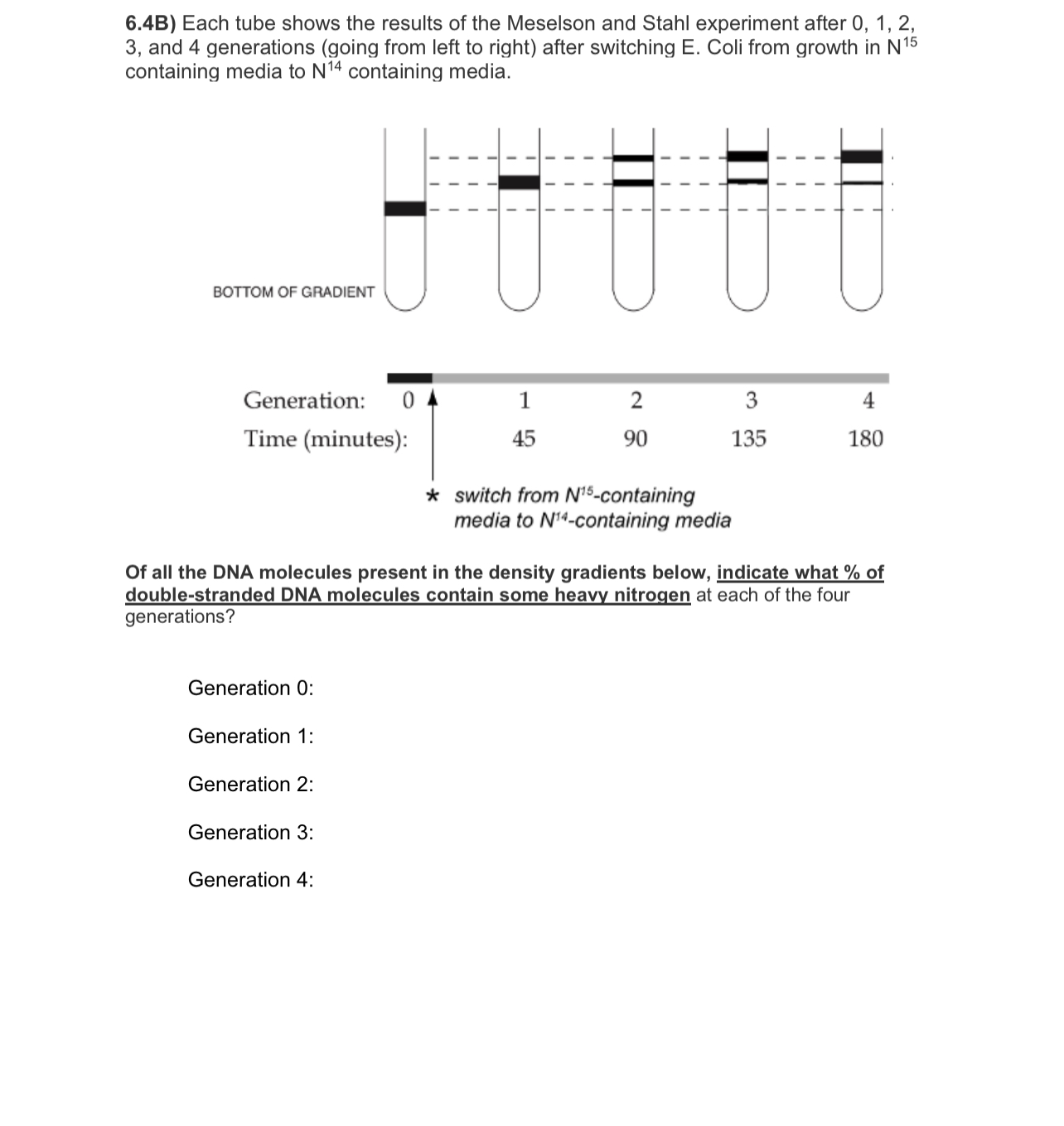 Solved 6.4B) ﻿Each tube shows the results of the Meselson | Chegg.com
