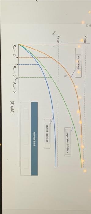 Solved Use data from the plots of ν0 versus [S] without an | Chegg.com