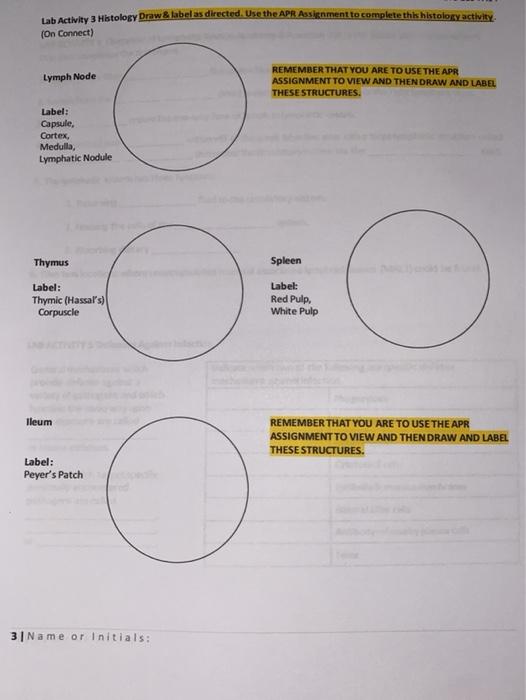 Solved Lab Activity 3 Histology Draw & label as directed. | Chegg.com