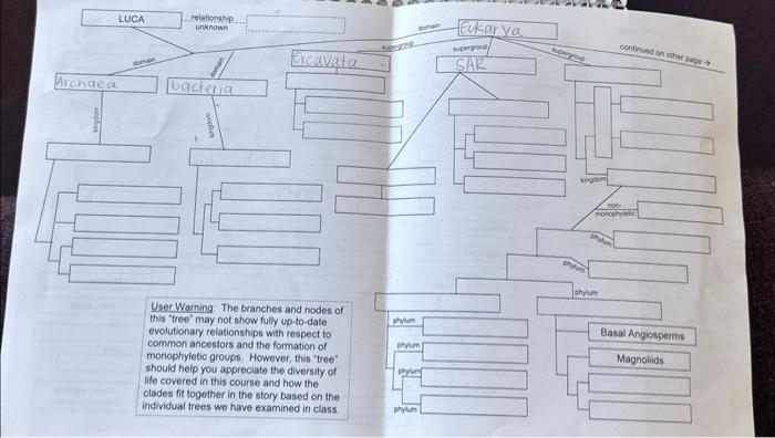 using this word bank fill in the missing blanks on | Chegg.com
