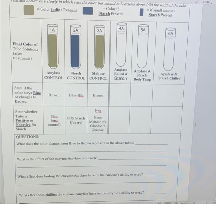 Solved DIGESTION PHYSIOLOGY LAB The following activities | Chegg.com