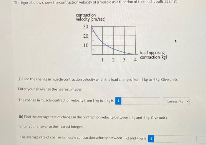 Solved The figure below shows the contraction velocity of a | Chegg.com