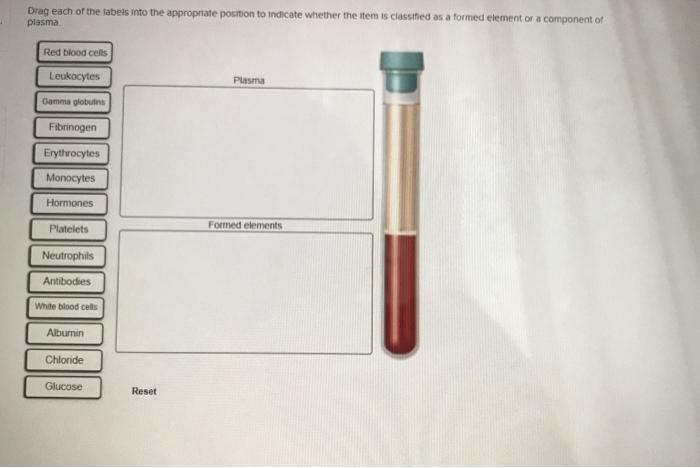 Solved Drag each of the fabets into the appropriate position | Chegg.com