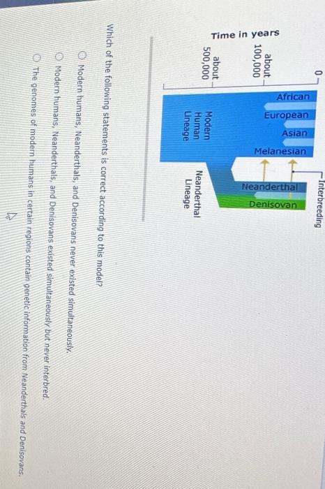 Solved Anatomically, modern humans are classified as Homo | Chegg.com
