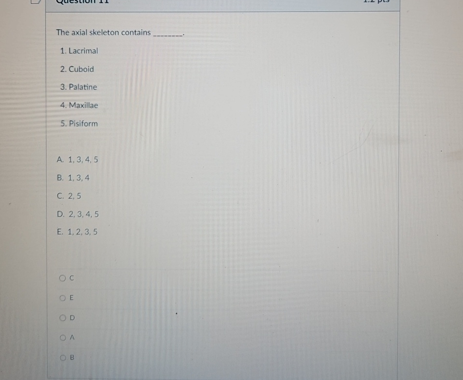 Solved The axial skeleton contains | Chegg.com
