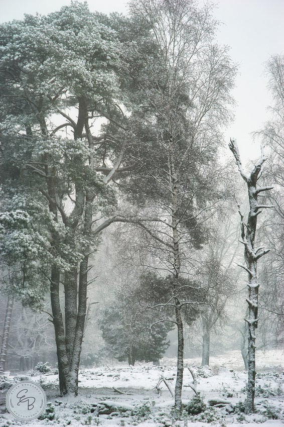 Solved Implement the following tasks in PythonGiven the | Chegg.com