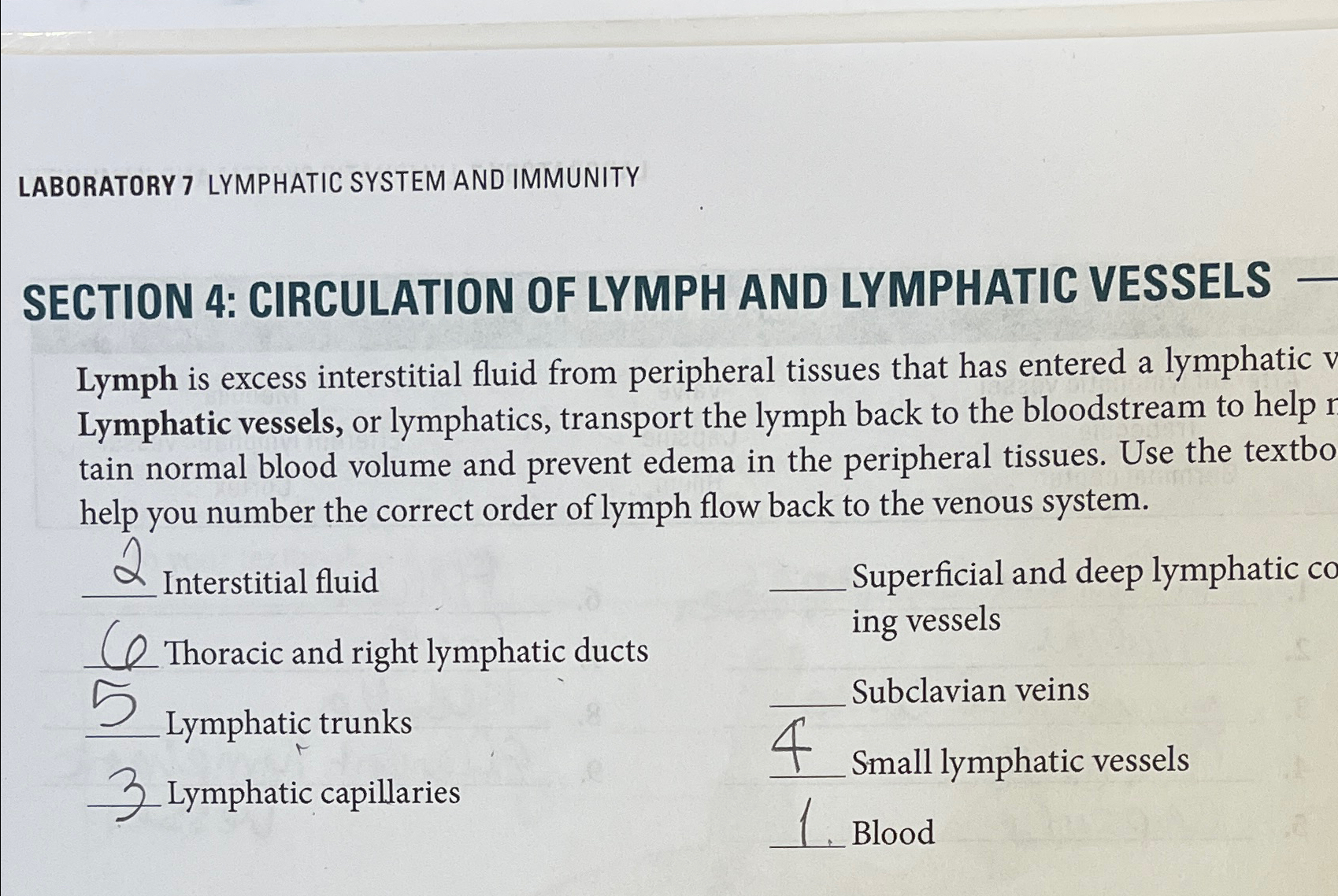 Solved LABORATORY 7 ﻿LYMPHATIC SYSTEM AND IMMUNITYSECTION 4: | Chegg.com