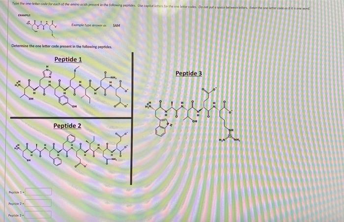Solved Type the one-letter code for each of the amino acids | Chegg.com