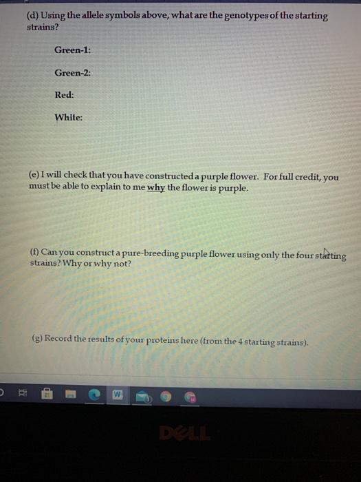 Aipotu 1 Genetics Lab Write up Put your data in the | Chegg.com