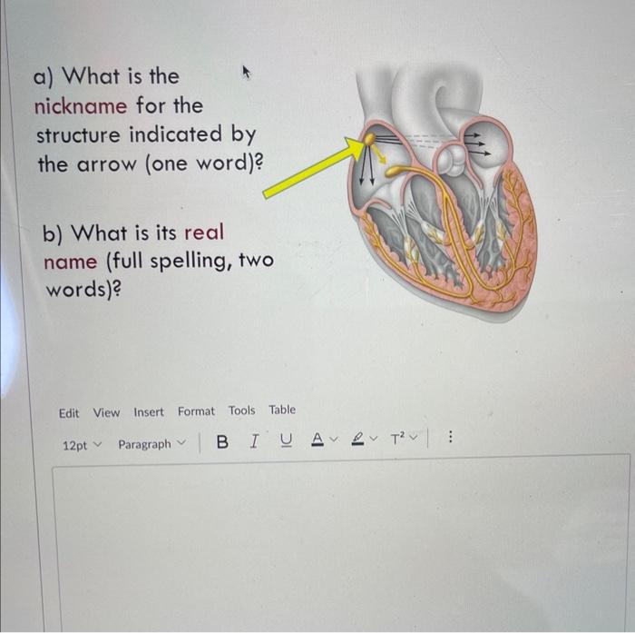 Solved a) What is the nickname for the structure indicated | Chegg.com