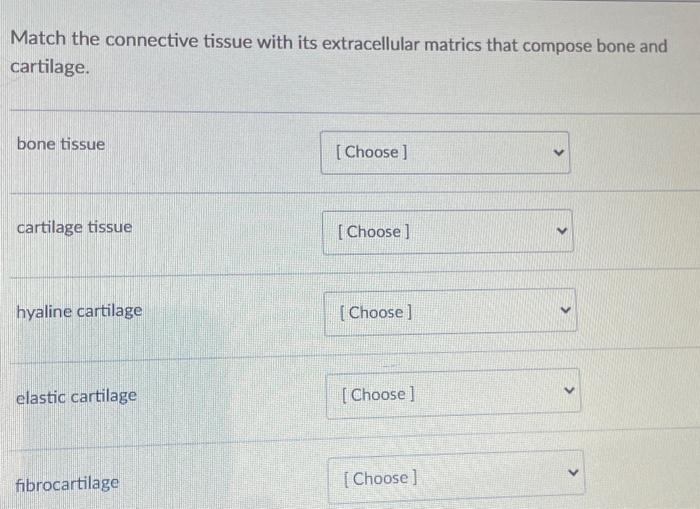 Solved Match the connective tissue with its extracellular | Chegg.com