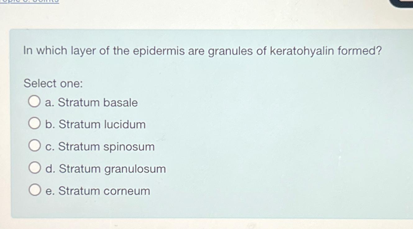 Solved In which layer of the epidermis are granules of | Chegg.com