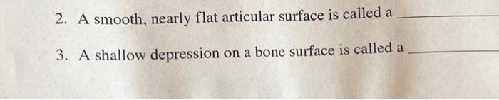 Solved 2. A smooth, nearly flat articular surface is called | Chegg.com