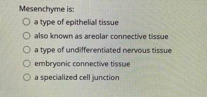 Solved Mesenchyme is: O a type of epithelial tissue also | Chegg.com