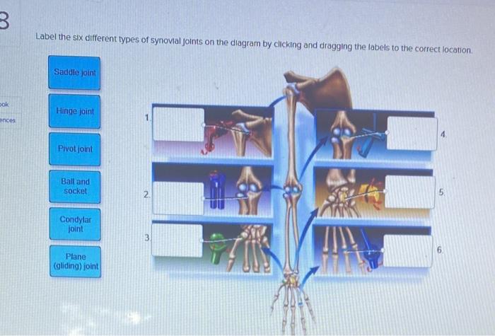 Solved 3. Label the six different types of synovial joints | Chegg.com