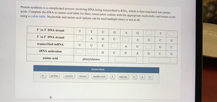 Solved Protein synthesis is a complicated process involving | Chegg.com