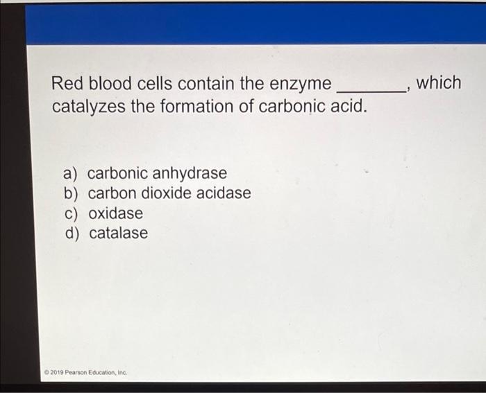 Solved which Red blood cells contain the enzyme catalyzes | Chegg.com