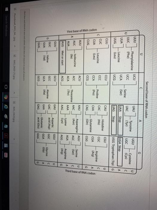 Solved examine the genetic code table, thr codon AGC codes | Chegg.com