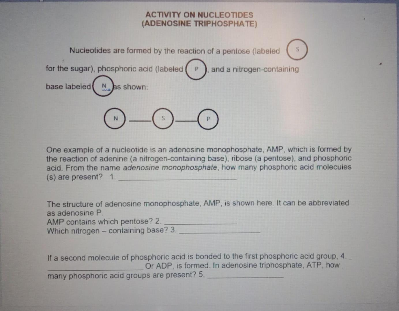 Solved ACTIVITY ON NUCLEOTIDES (ADENOSINE TRIPHOSPHATE) | Chegg.com