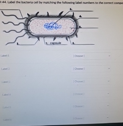 Solved -44. ﻿Label the bacteria cell by matching the | Chegg.com