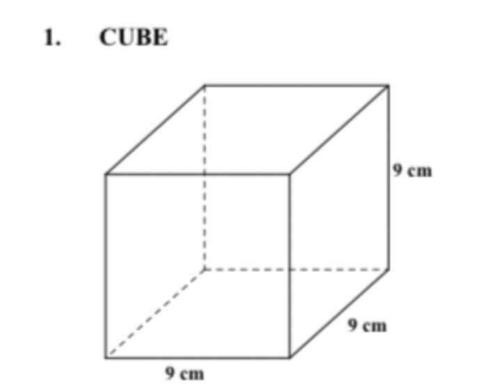 Solved 1. CUBE 9 cm 日 9 cm 9 cm 2. RECTANGULAR PRISM 5 mm | Chegg.com