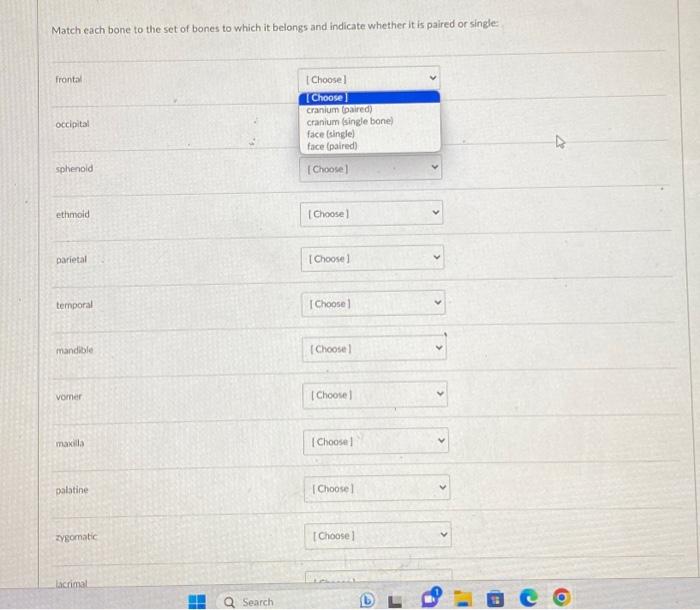 Solved Match each bone to the set of bones to which it | Chegg.com