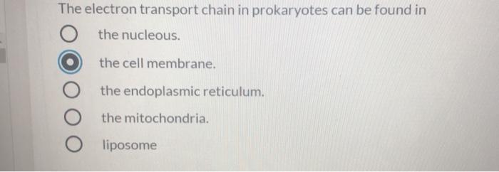 Solved The electron transport chain in prokaryotes can be | Chegg.com