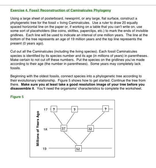 Exercise 4. Fossil Reconstruction of Caminalcules | Chegg.com