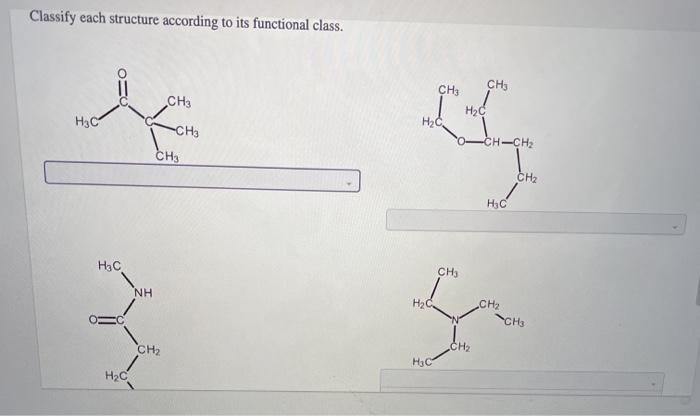 Solved Classify each structure according to its functional | Chegg.com