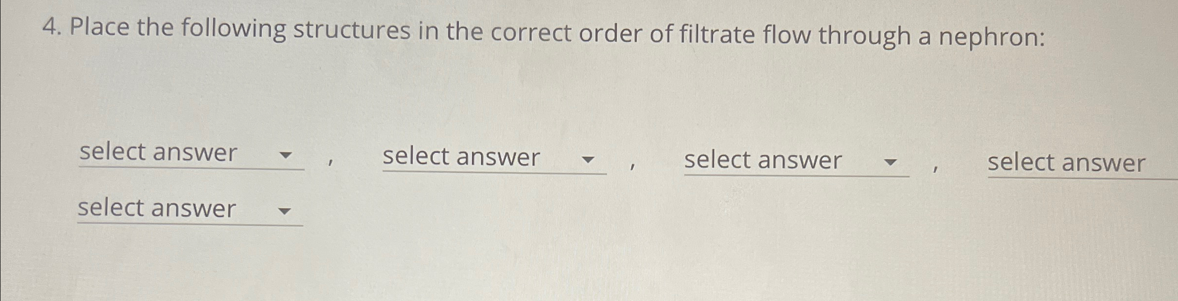 Solved Place the following structures in the correct order | Chegg.com