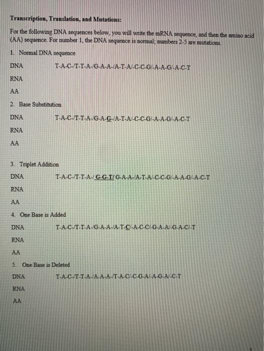 Solved Transcription, Translation, and Mutations: For the | Chegg.com
