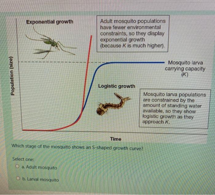 Solved Exponential growth Adult mosquito populations have | Chegg.com