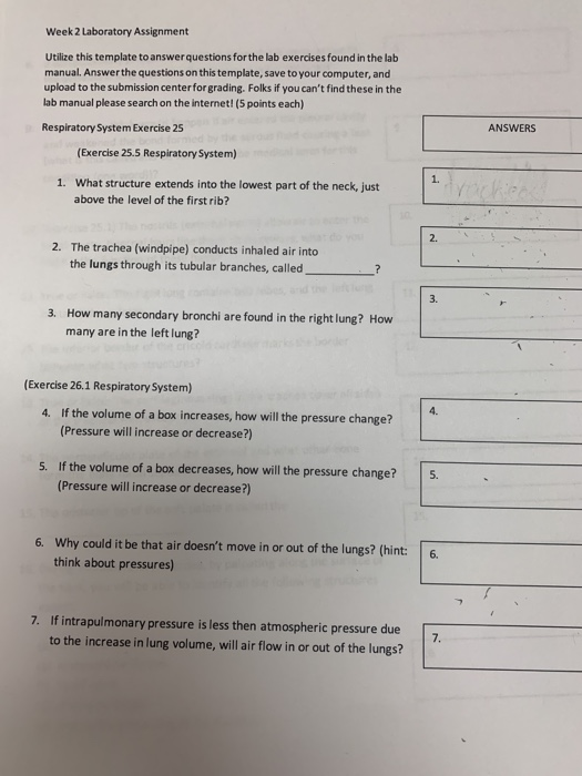Solved Week 2 Laboratory Assignment Utilize this template to | Chegg.com