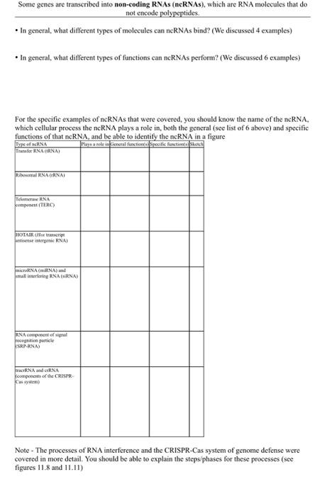 Solved Some genes are transcribed into non-coding RNAs | Chegg.com